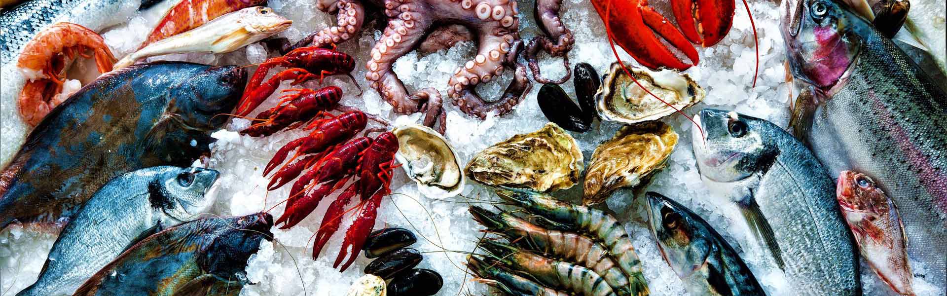 Home - Saj Fisheries Oman